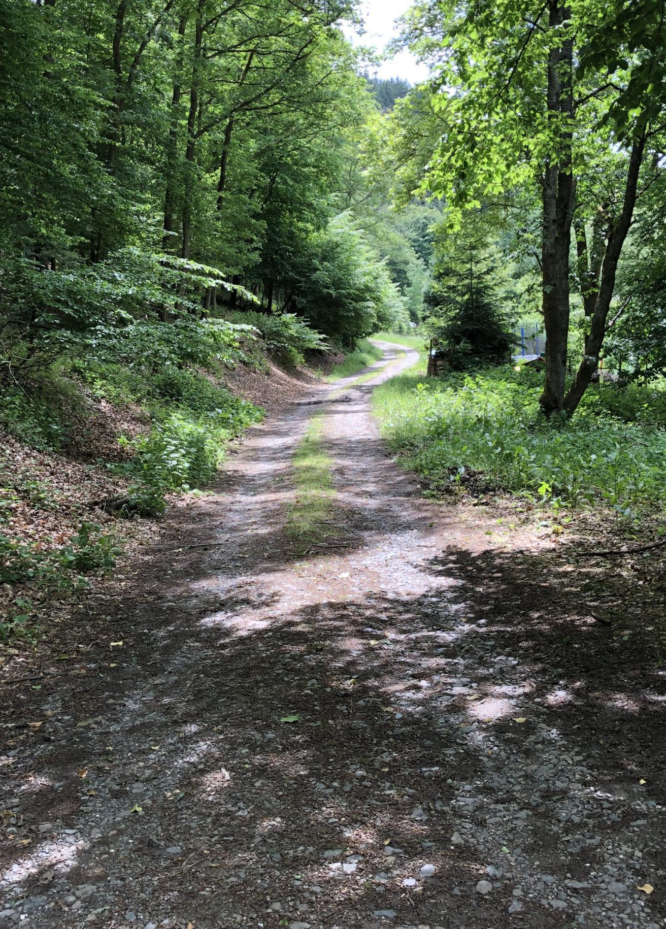 Im Rheingau zuhause – Rolfs Homepage